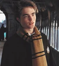 Chat with Cedric Diggory | character.ai | Personalized AI for every ...