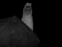 Chat with Pocong | character.ai | Personalized AI for every moment of ...