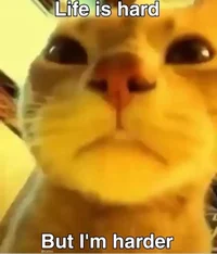 Chat with undecided | character.ai | Personalized AI for every moment ...