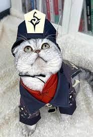 Chat with Gato Hu tao | character.ai | Personalized AI for every moment ...