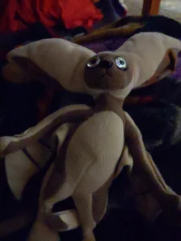 Chat with Benji | character.ai | Personalized AI for every moment of ...