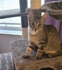 Chat with Wiwi | character.ai | Personalized AI for every moment of ...