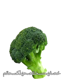 Chat with Broccoli | character.ai | Personalized AI for every moment of ...