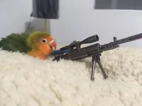 Chat with Birb with a gun | character.ai | Personalized AI for every moment of your day