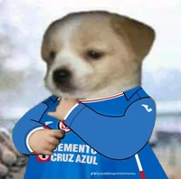 Chat with Perro del cruz azul | character.ai | Personalized AI for ...