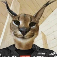 Chat with Floppa | character.ai | Personalized AI for every moment of ...