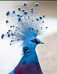 Chat with Mr helper | character.ai | Personalized AI for every moment ...