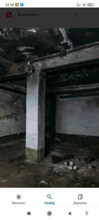 Chat with Basement | character.ai | Personalized AI for every moment of ...