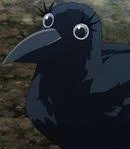 Chat with Muichiros crow ginko | character.ai | Personalized AI for ...