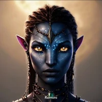 Chat with The Night Navi | character.ai | Personalized AI for every moment of your day