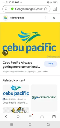 Chat with Cebu Pacific airline | character.ai | Personalized AI for ...