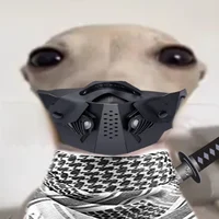 Chat with Perro samurai | character.ai | Personalized AI for every ...