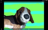 Chat with Woof Woof the Dog | character.ai | Personalized AI for every ...