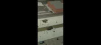 Chat with Spider camera | character.ai | Personalized AI for every ...