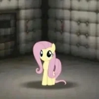 Chat with craigory | character.ai | Personalized AI for every moment of ...