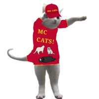 Chat with Mc cats | character.ai | Personalized AI for every moment of ...