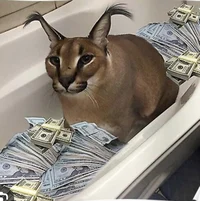 Chat with Raise a floppa | character.ai | Personalized AI for every ...