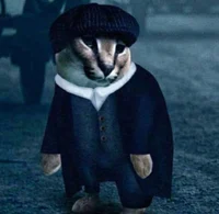 Chat with Floppa fino | character.ai | Personalized AI for every moment ...