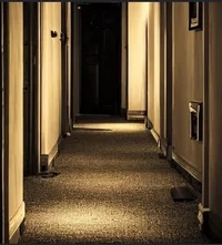 Chat with Hallway | character.ai | Personalized AI for every moment of ...