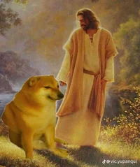 Chat with Cheems | character.ai | Personalized AI for every moment of ...