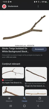 Chat with Stick | character.ai | Personalized AI for every moment of ...