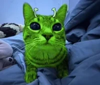 Chat with Alien Kat | character.ai | Personalized AI for every moment ...