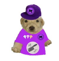 Chat with Alfredo | character.ai | Personalized AI for every moment of ...