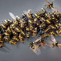 Chat with Life of a Wasp | character.ai | Personalized AI for every ...