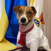 Chat with Pes Patron | character.ai | Personalized AI for every moment ...