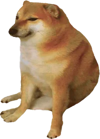 Chat with Cheems | character.ai | Personalized AI for every moment of ...