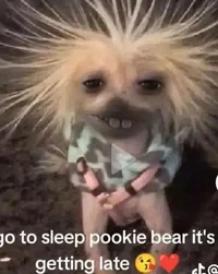 Chat with Go to bed pookie | character.ai | Personalized AI for every moment of your day