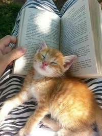 Chat with Venting bot | character.ai | Personalized AI for every moment ...