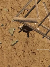 Chat with Skibidi toilet RPG | character.ai | Personalized AI for every ...