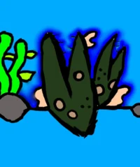 Chat with Green Mussel | character.ai | Personalized AI for every ...