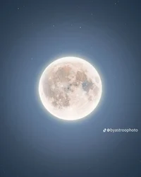 Chat with Anime-Bot | character.ai | Personalized AI for every moment ...