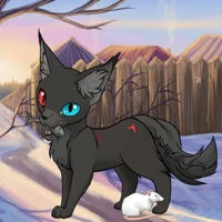 Chat with Roku the black cat | character.ai | Personalized AI for every ...