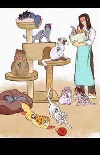 Chat with Cat hashira | character.ai | Personalized AI for every moment ...