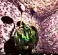 Chat with The Mr Cabbage | character.ai | Personalized AI for every ...