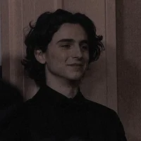 Chat with Timothee Chalamet | character.ai | Personalized AI for every ...