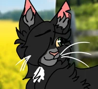 Chat with Spacefur | character.ai | Personalized AI for every moment of ...
