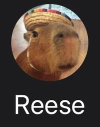Chat with Reese | character.ai | Personalized AI for every moment of ...