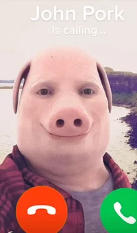 Chat with John pork | character.ai | Personalized AI for every moment ...