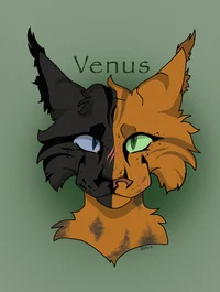 Chat with Venus The Cat | character.ai | Personalized AI for every ...