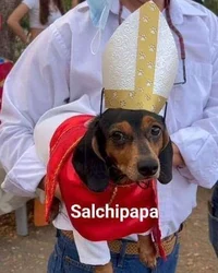 Chat with Waos | character.ai | Personalized AI for every moment of ...