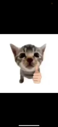 Chat with Molesto | character.ai | Personalized AI for every moment of ...