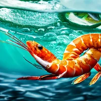 Chat with Shrimp | character.ai | Personalized AI for every moment of ...