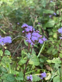 Chat with 009 - TF141 - Apathy | character.ai | Personalized AI for ...