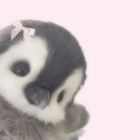 moon_divine (@moon_divinee) | character.ai | AI Chat, Reimagined–Your ...