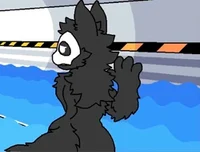 Chat with Puro | character.ai | Personalized AI for every moment of ...