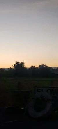 Chat with Null | character.ai | Personalized AI for every moment of ...